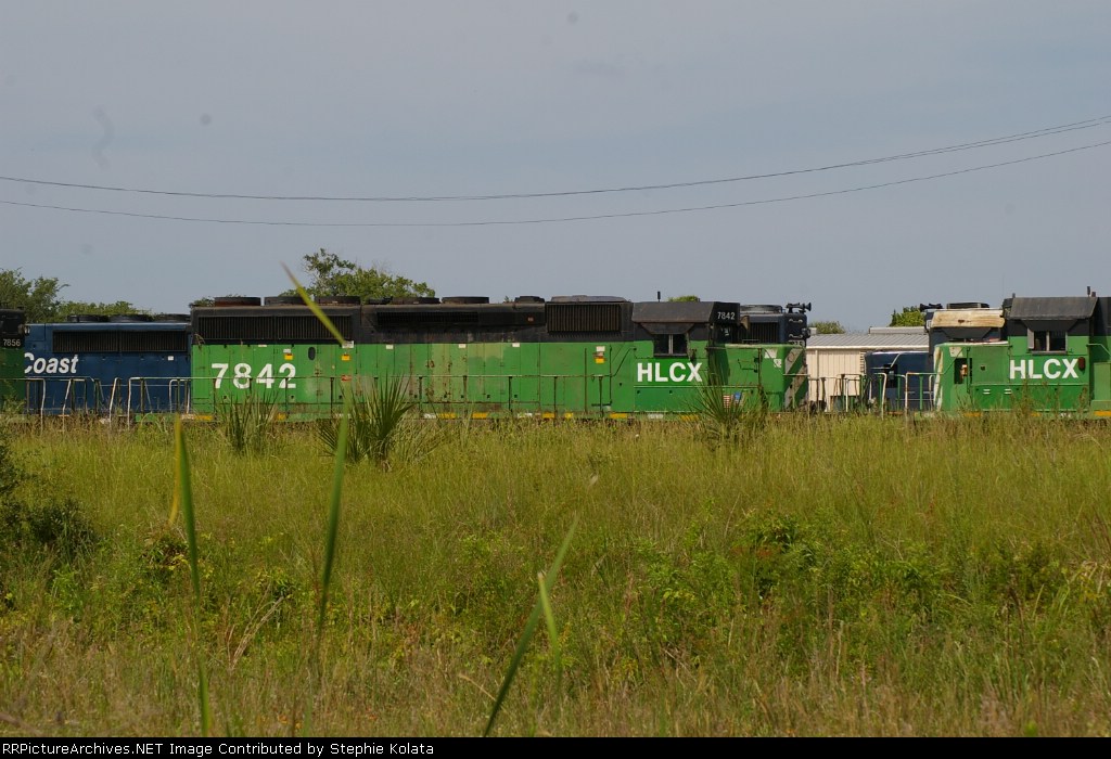 HLCX 7842